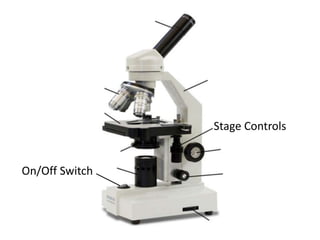 Microscopepartsandfunctions | PPTX