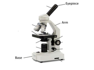 Microscopepartsandfunctions | PPTX