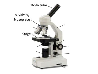 Microscopepartsandfunctions | PPTX