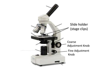 Microscopepartsandfunctions | PPTX | Photography | Arts and Crafts