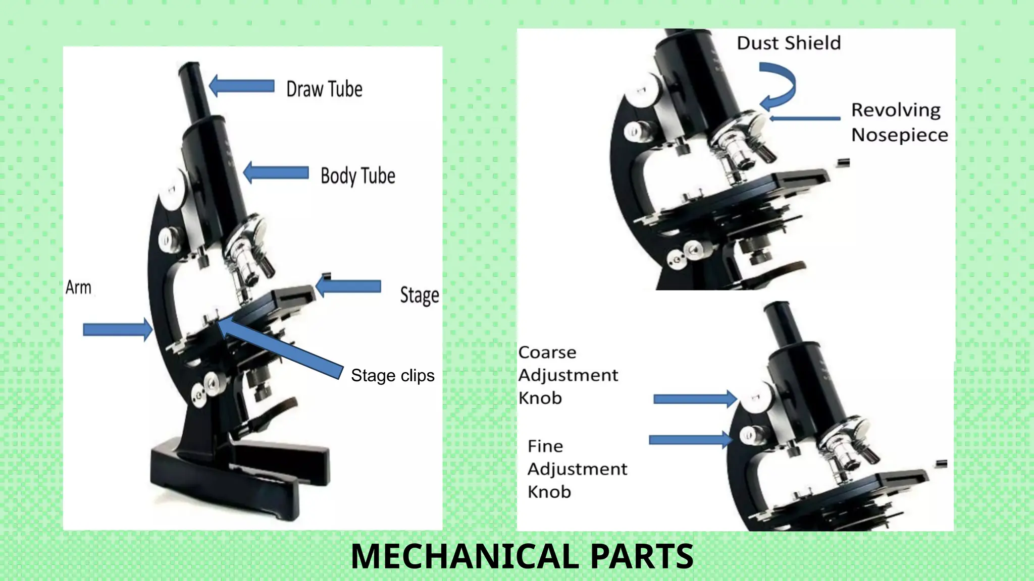 Compound Microscope Parts and Functions.pptx