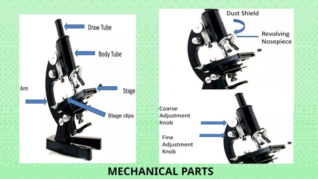 Compound Microscope Parts and Functions.pptx