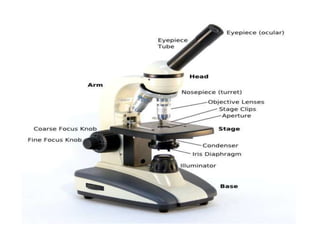microscopepartsandfunctions ppt.pdf