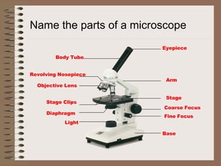 Microscope powerpoint | PPT