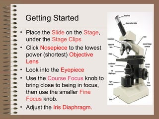 Microscope powerpoint | PPT