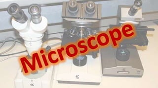 Microscope ppt | PPTX