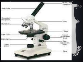 Microscope presentation | PPT