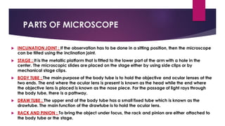 Microscope | PDF