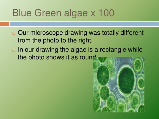 Microscope project. | PDF