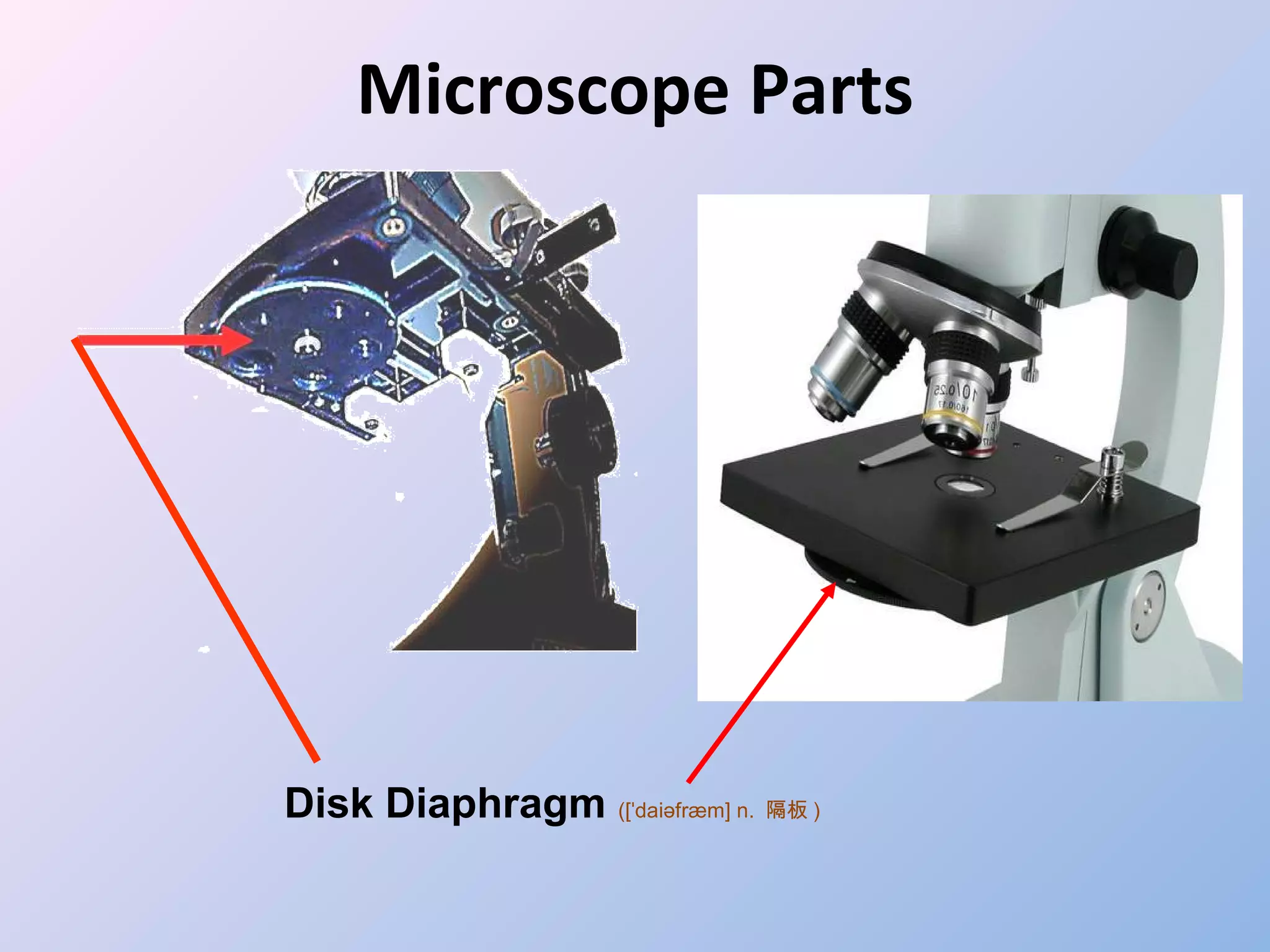 Microscope review | PPT