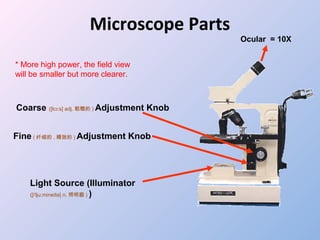 Microscope review | PPT