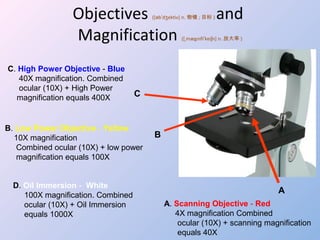 Microscope review | PPT