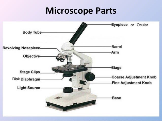 Microscope review