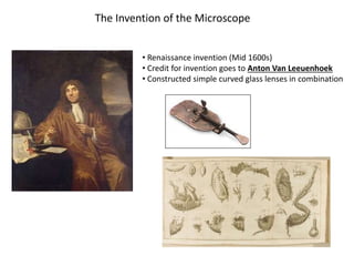 Microscopes | PPT