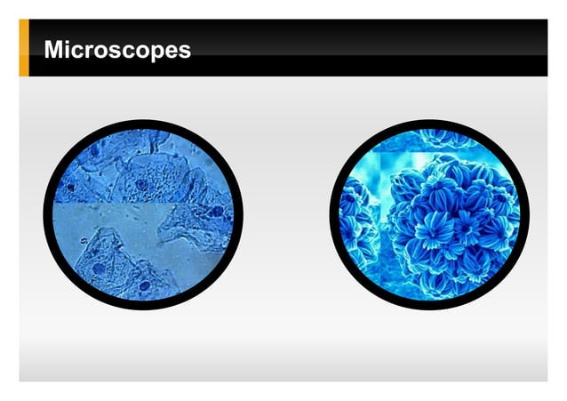 Microscopes | PPT
