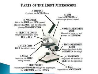 Microscopes | PPTX