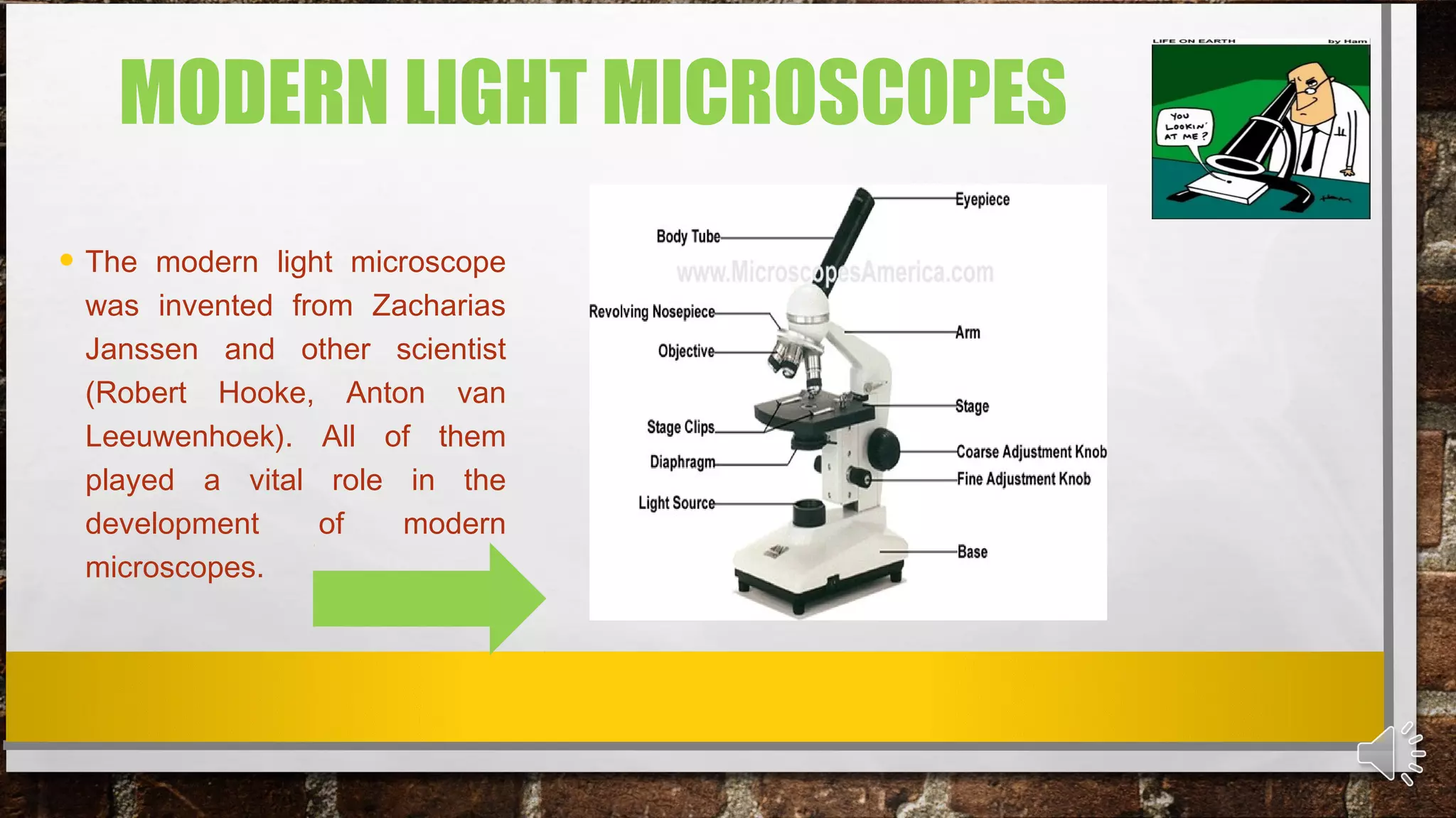 Microscopes | PPT