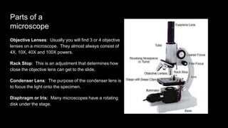 Microscopes | PPTX