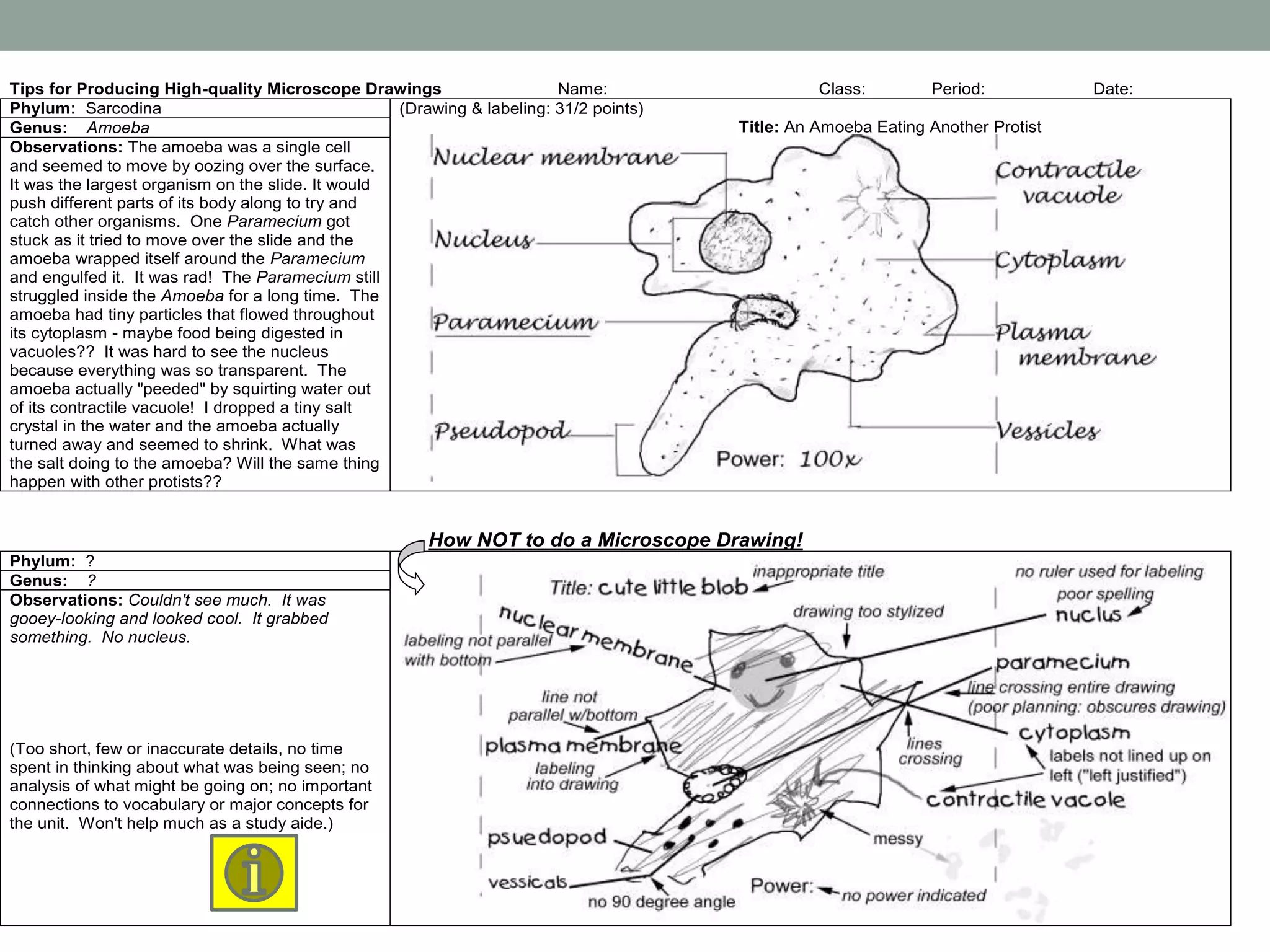 Microscope directions for Advanced Biology 9th grade | PPTX