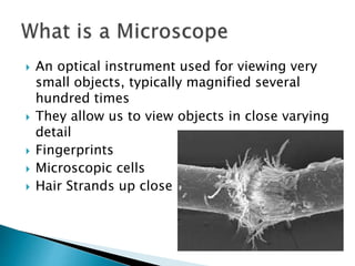 Microscopes | PPT
