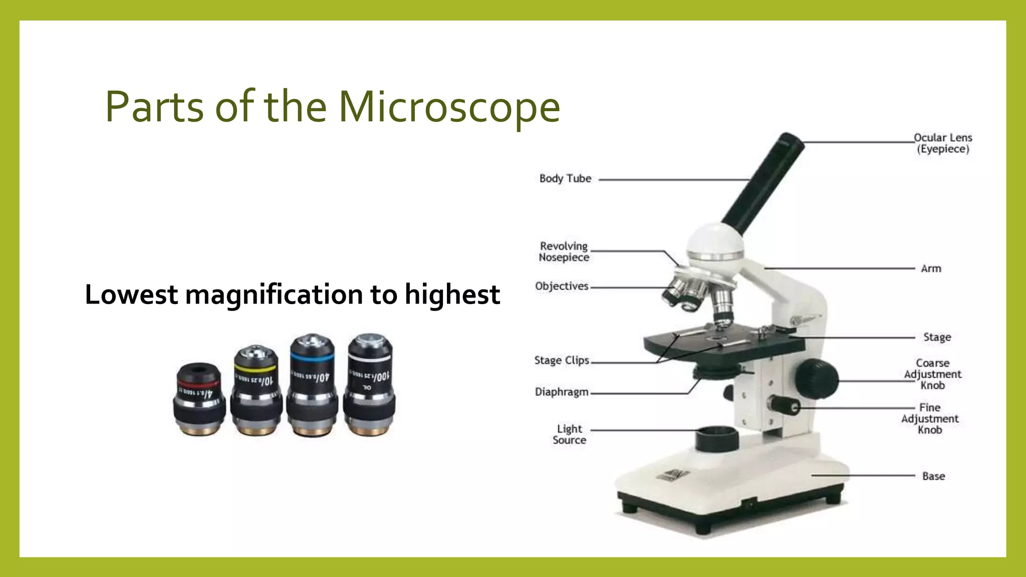Microscopes | PPT