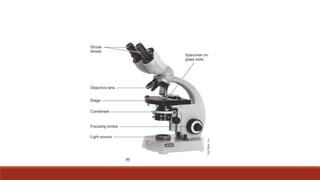 Microscopes.pptx