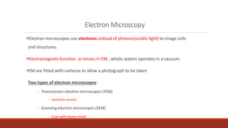 Microscopes.pptx
