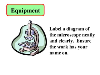 Microscopes Applied | PPT