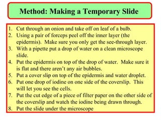 Microscopes Applied | PPT