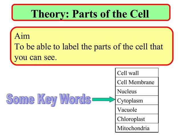 Microscopes Applied | PPT