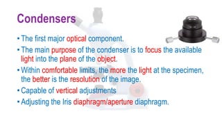 Microscopes 2 | PPTX