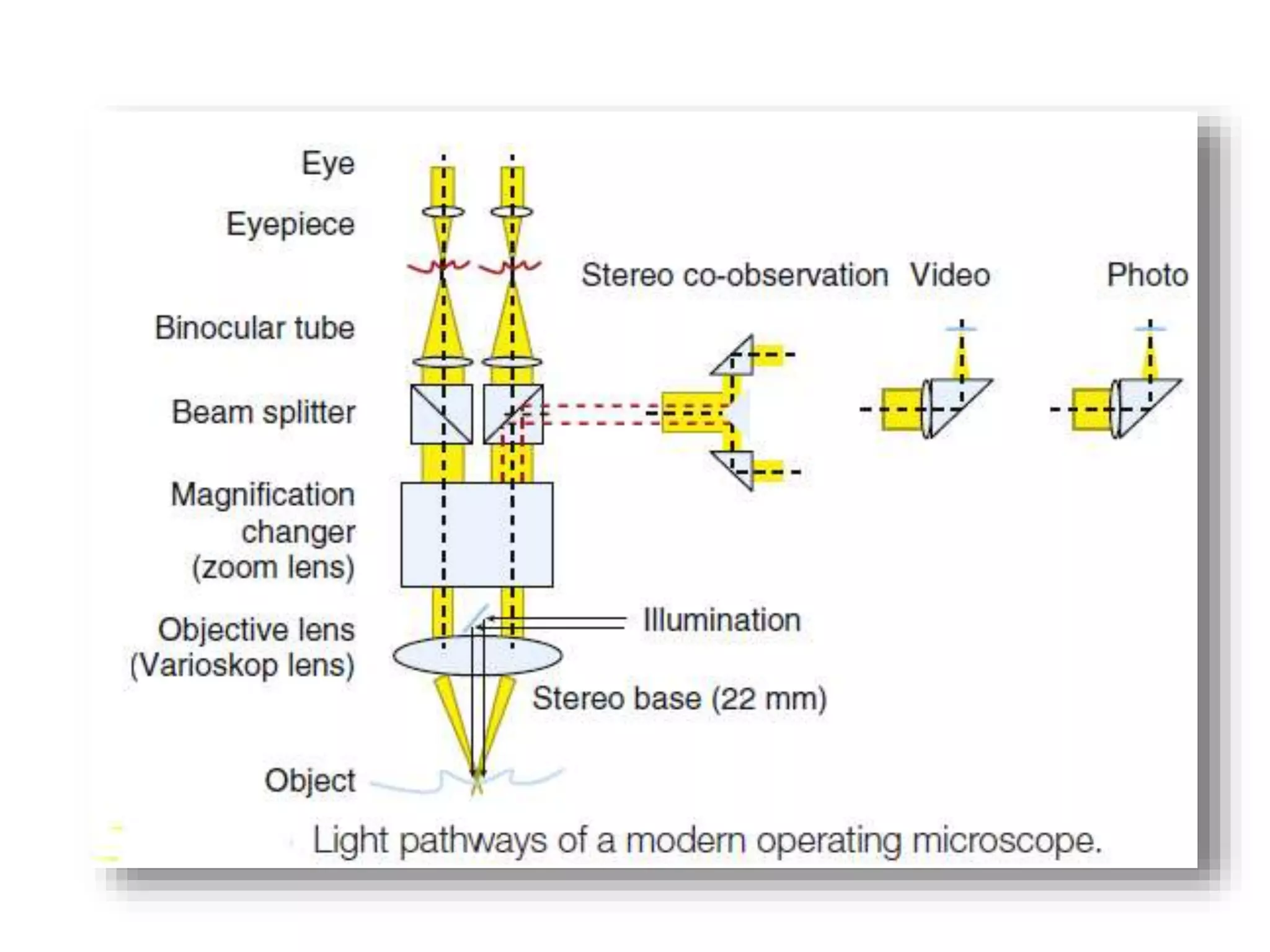 Microscopes and Endoscopes in Neurosurgery.pptx