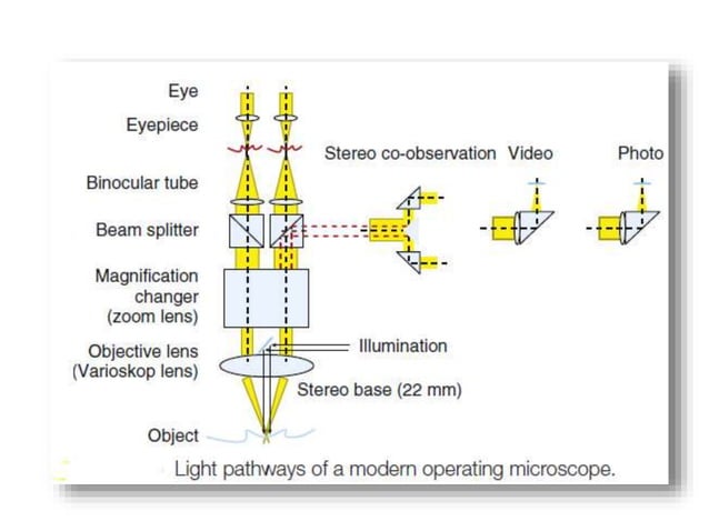 Microscopes and Endoscopes in Neurosurgery.pptx