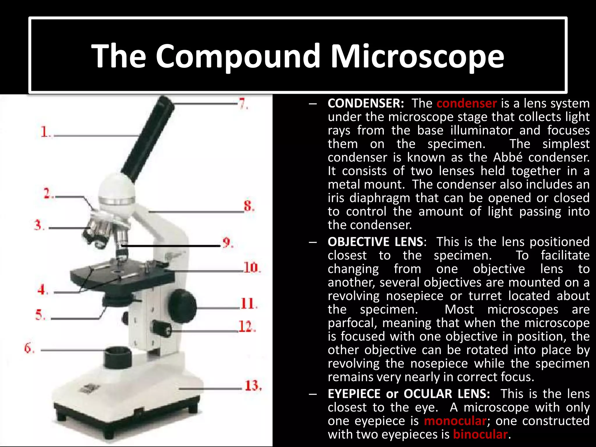 Microscopes and microscopy | PPTX