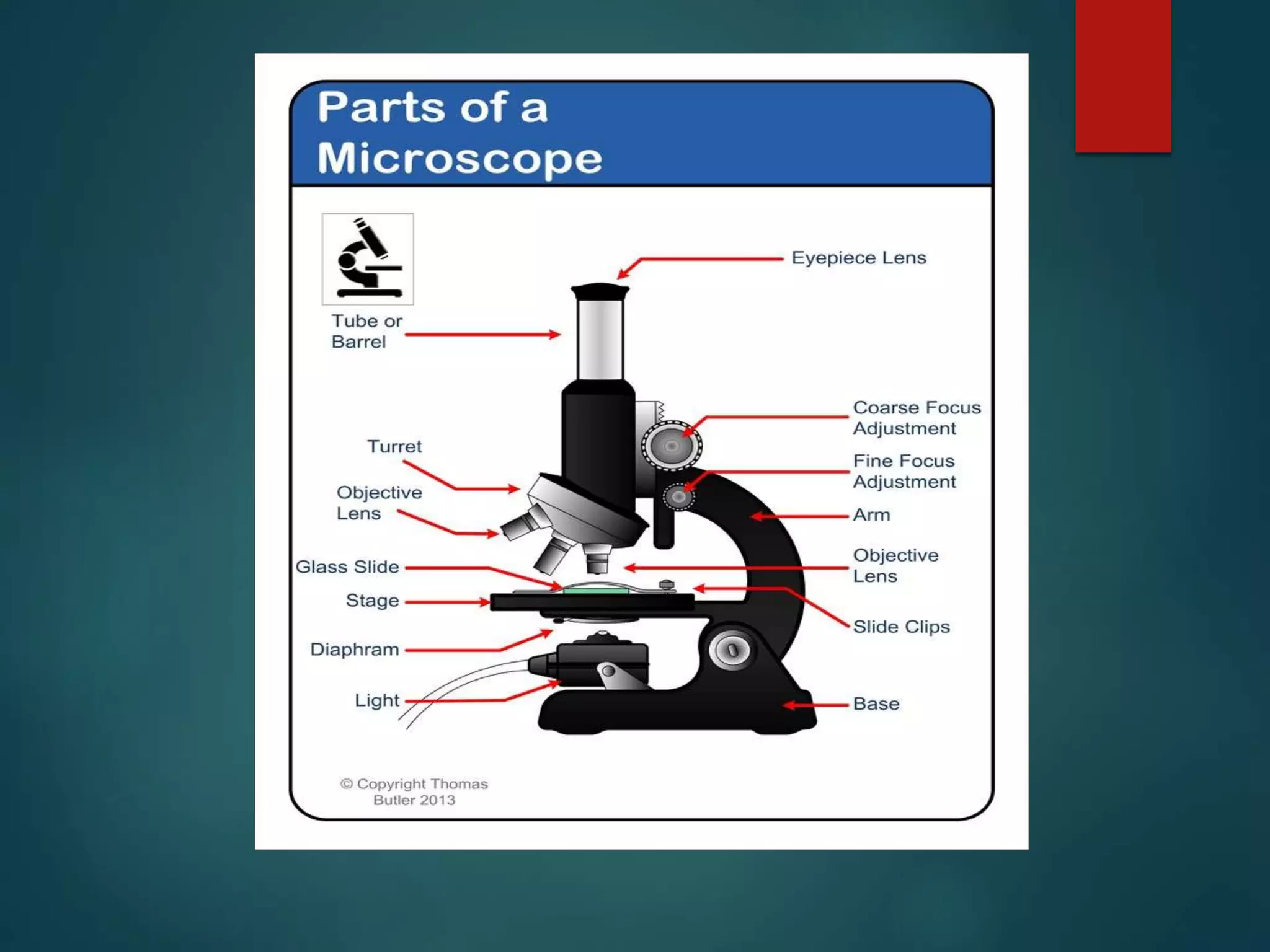 Microscopes and microscopy | PPTX
