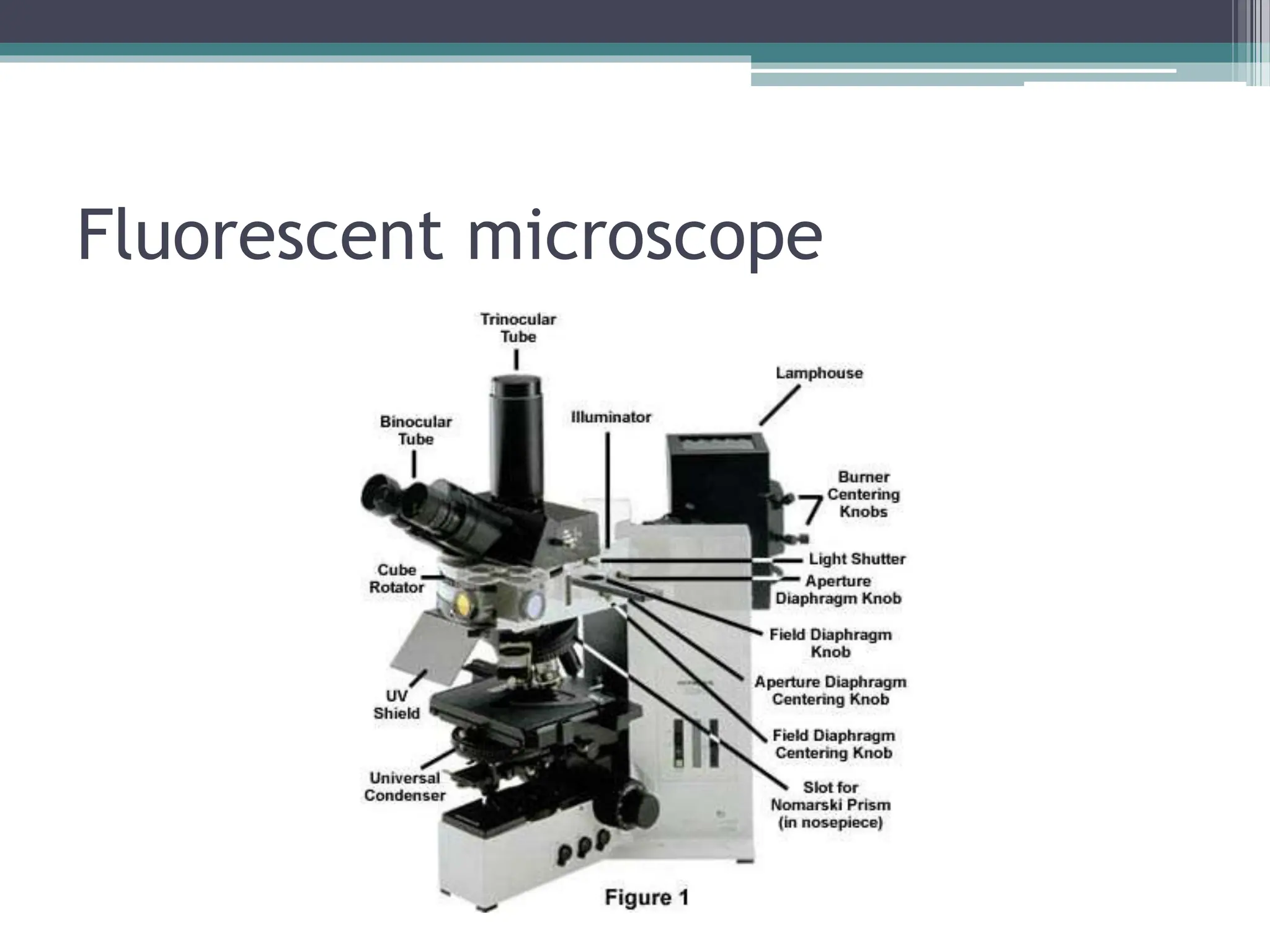 Microscopes & staining by DR C P PRINCE | PPTX