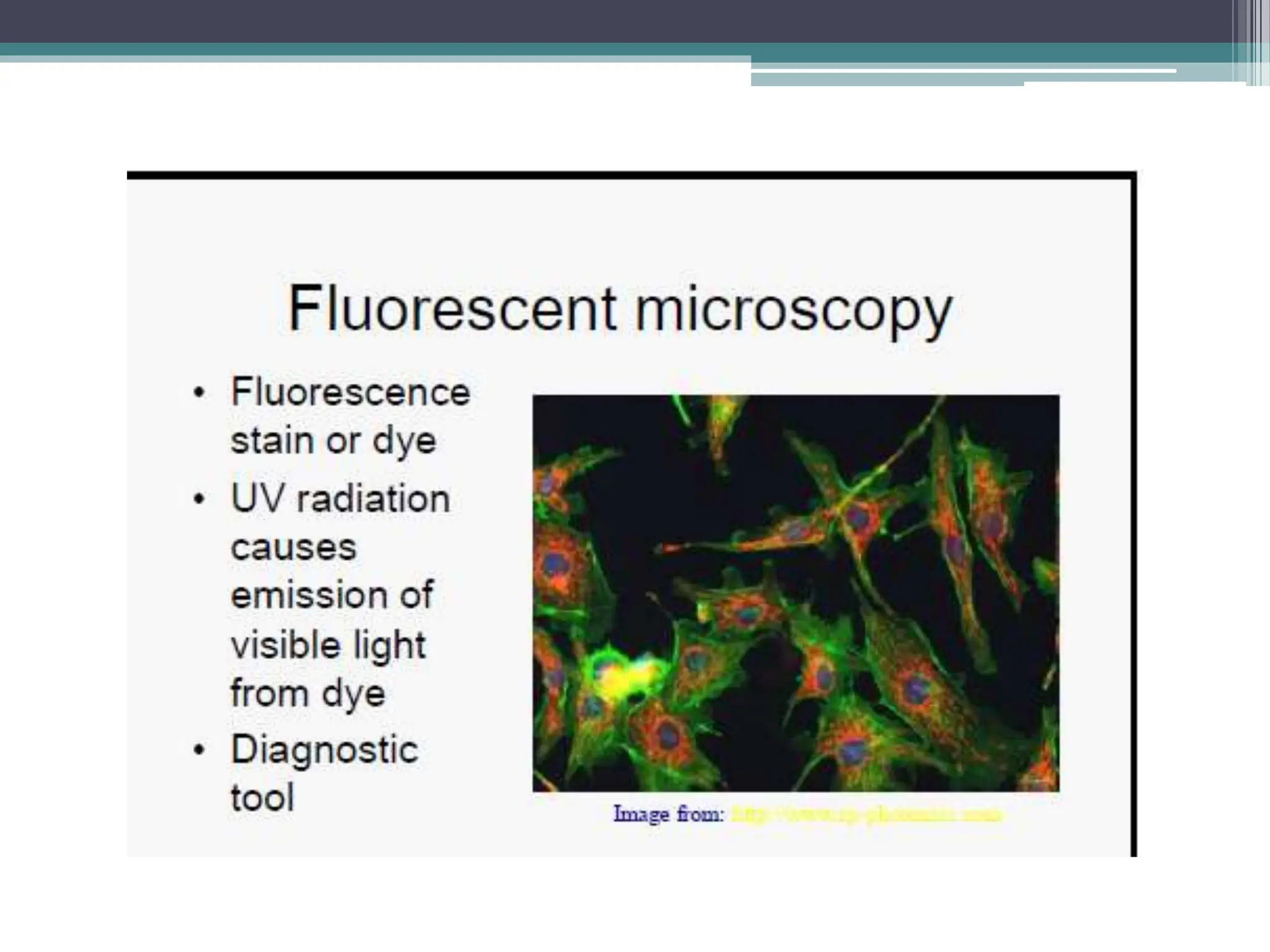 Microscopes & staining by DR C P PRINCE | PPTX