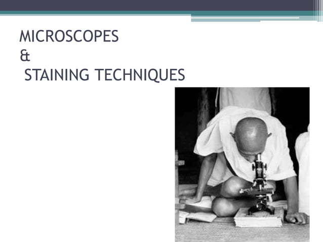 Microscopes & staining by DR C P PRINCE | PPT