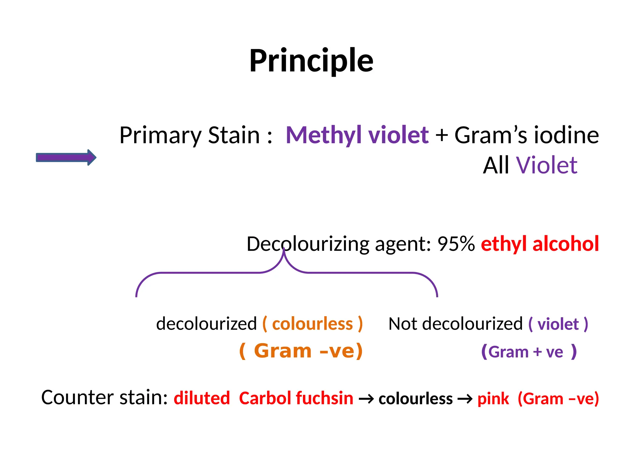 microscope & staining methods for bacterial visualization | PPTX
