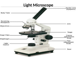 microscope & staining methods for bacterial visualization | PPTX
