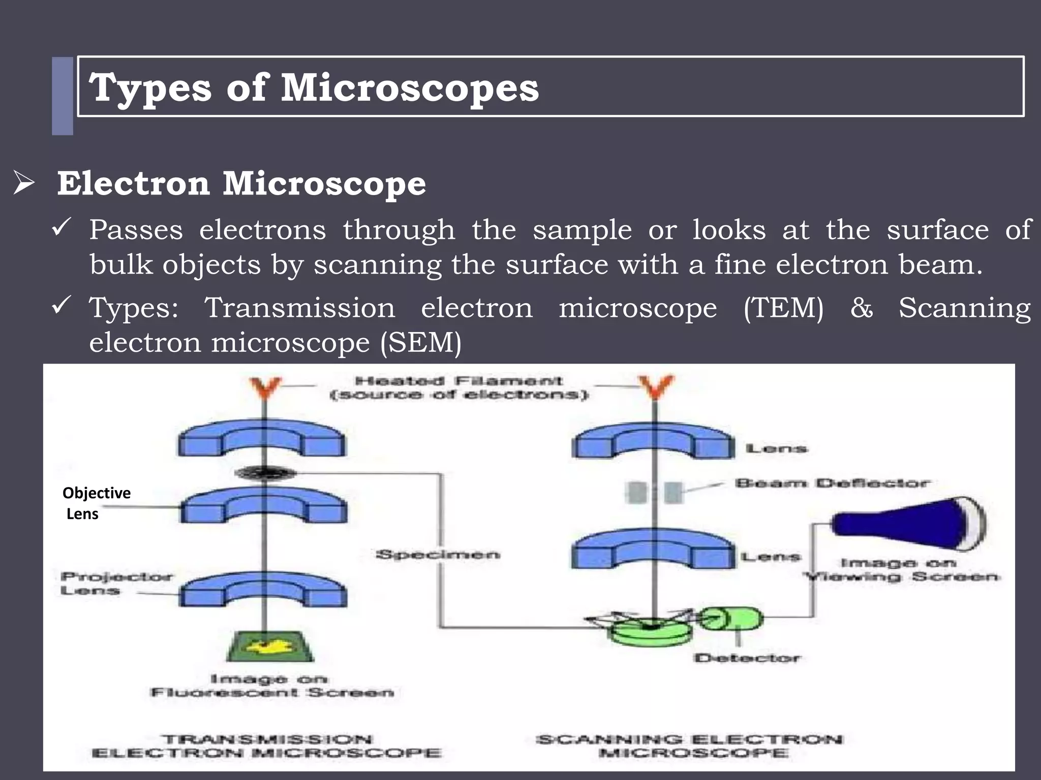 Microscope | PPTX