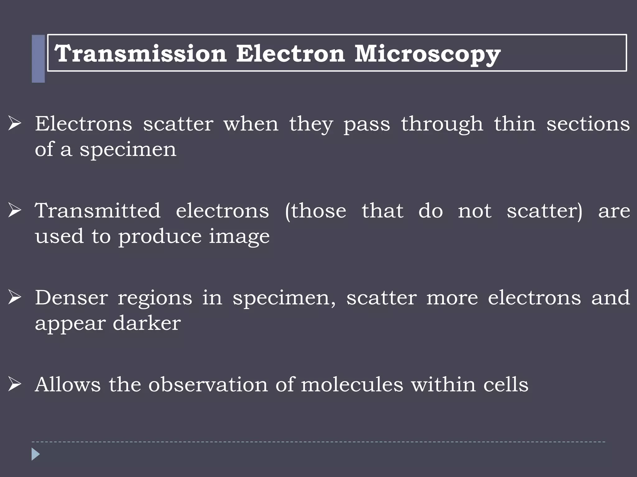 Microscope | PPTX