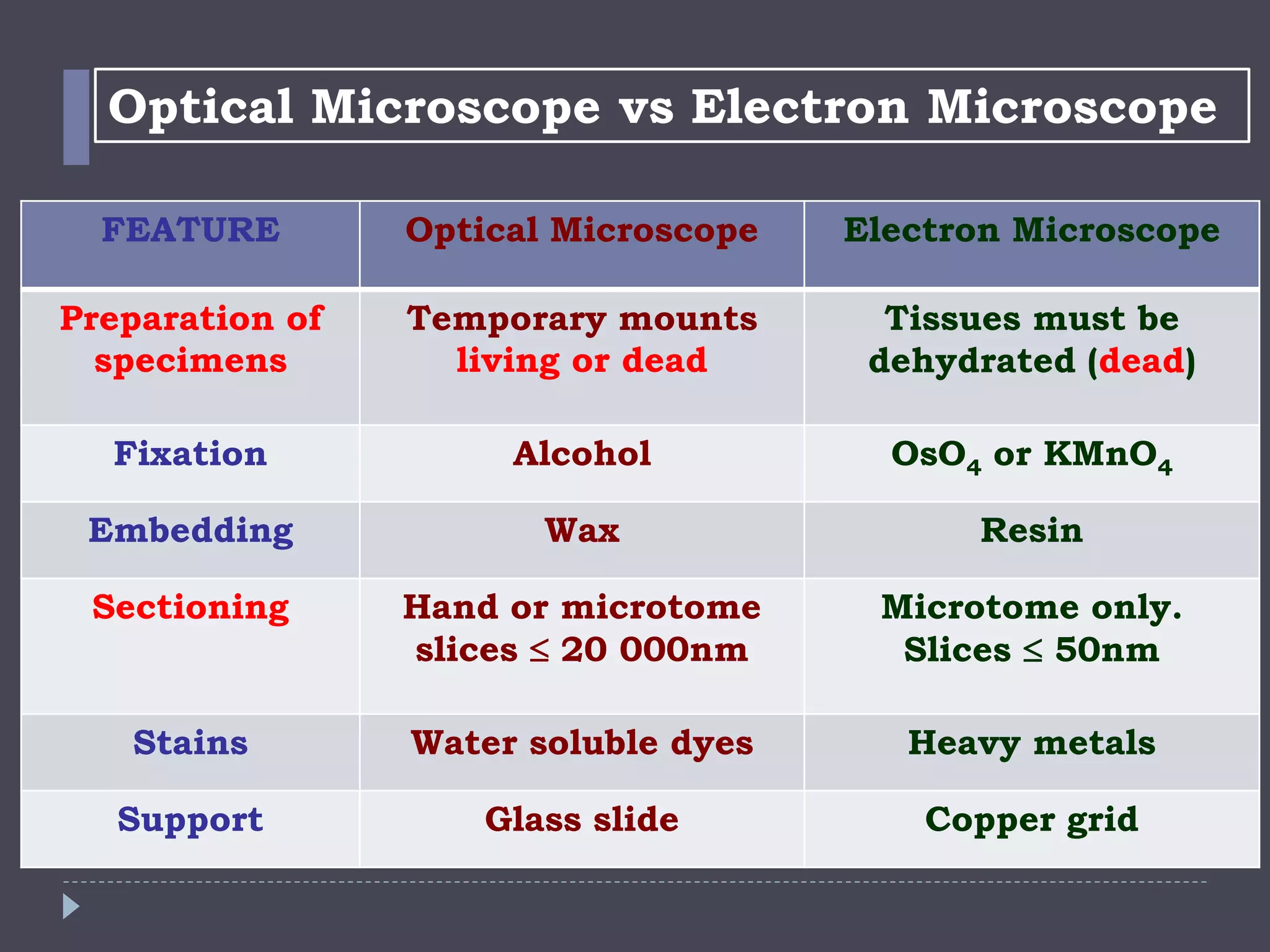 Microscope | PPTX