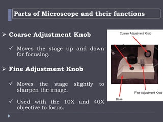 Microscope | PPTX