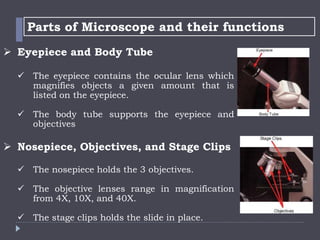 Microscope | PPTX