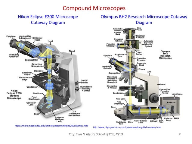 Microscope_Telescope_p.pdf