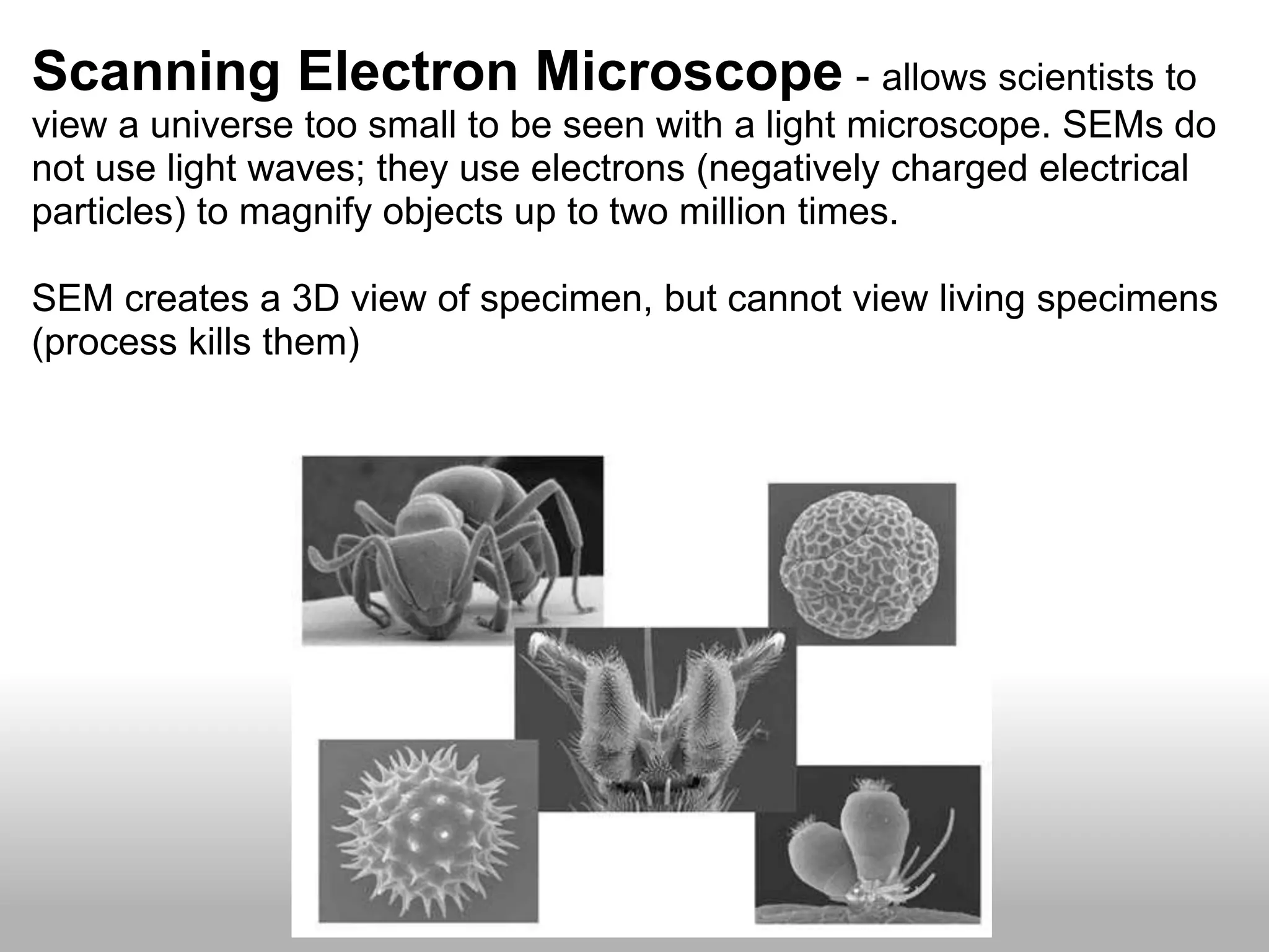 Microscope types and use | PPT