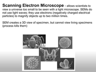 Microscope types and use | PPT