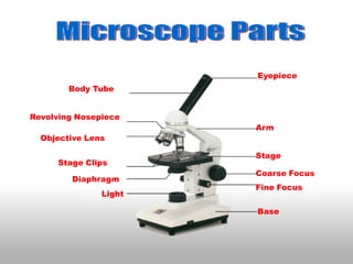 Microscope types and use | PPT