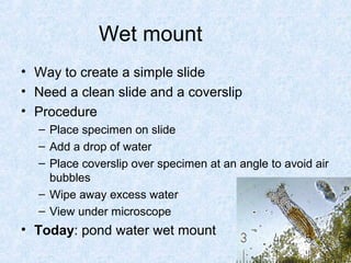 Microscope Biology I Lab | PPT